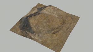 3D Landforms Models | TurboSquid
