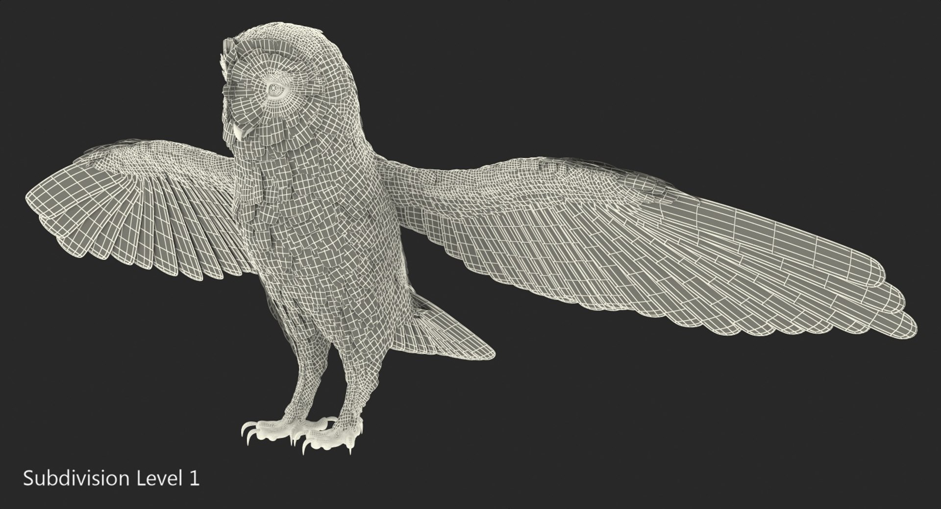 3D white barn owl rigged model - TurboSquid 1432259