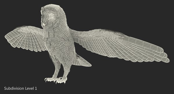 3D white barn owl rigged model - TurboSquid 1432259