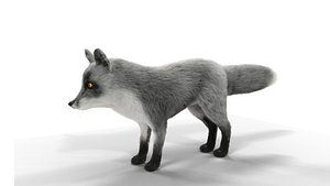 Fox Blender Models for Download | TurboSquid