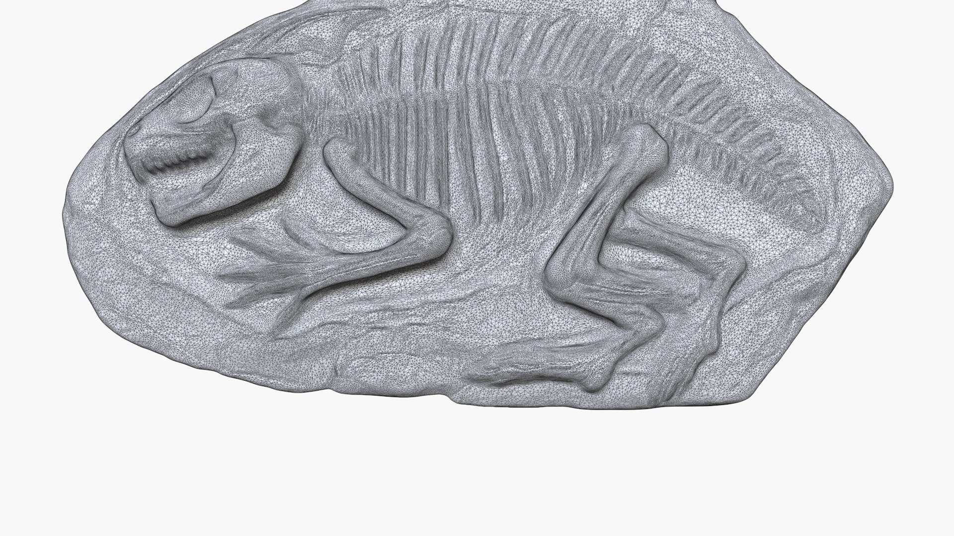 3D Model Fossil Ancient Animal 002 - TurboSquid 2298505