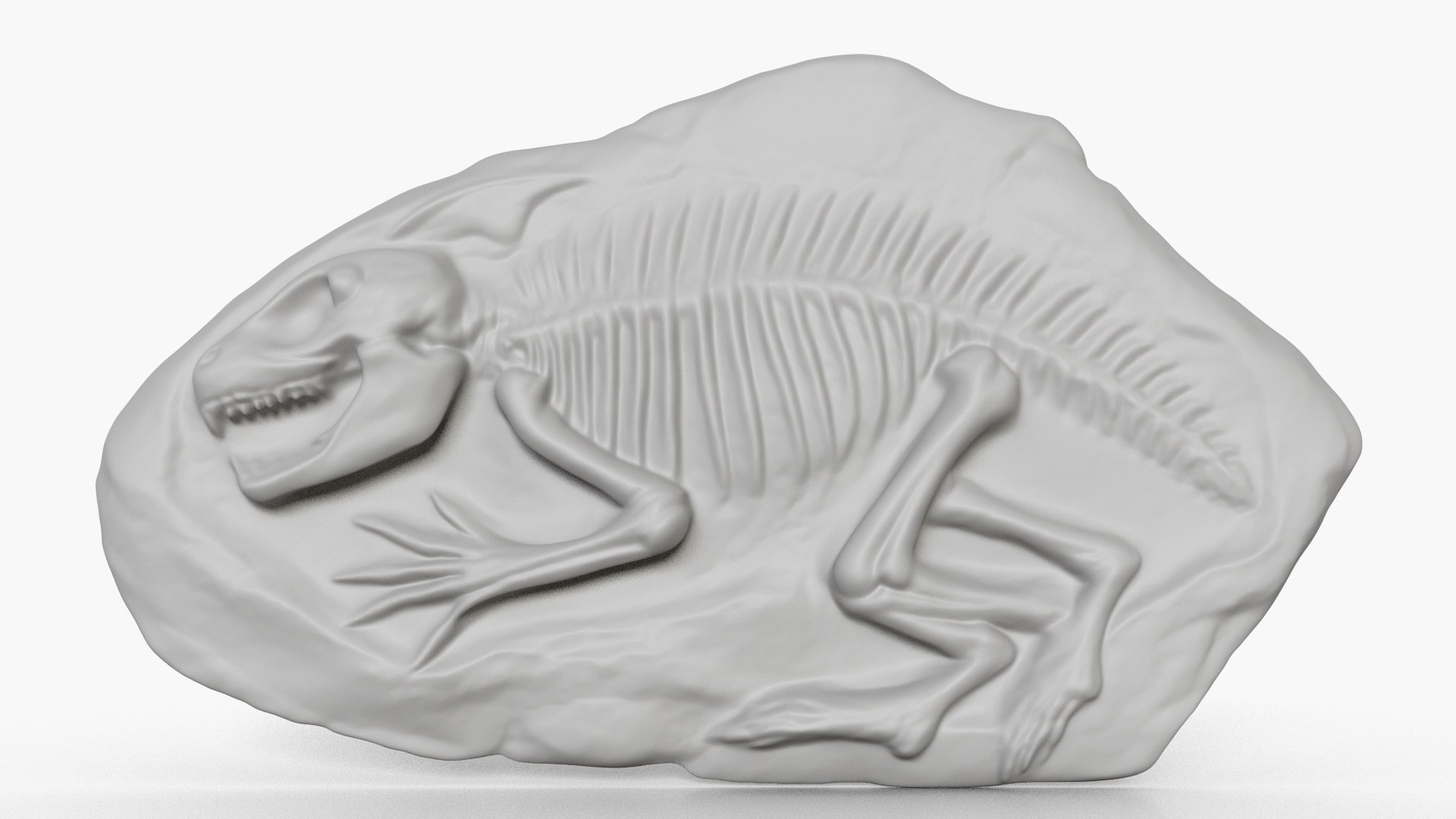 3D Model Fossil Ancient Animal 002 - TurboSquid 2298505