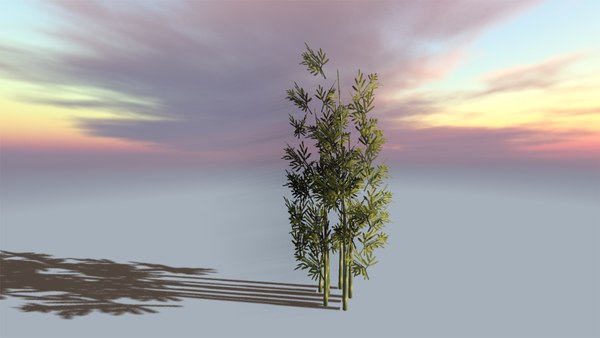 Free 3D Bamboo Models | TurboSquid