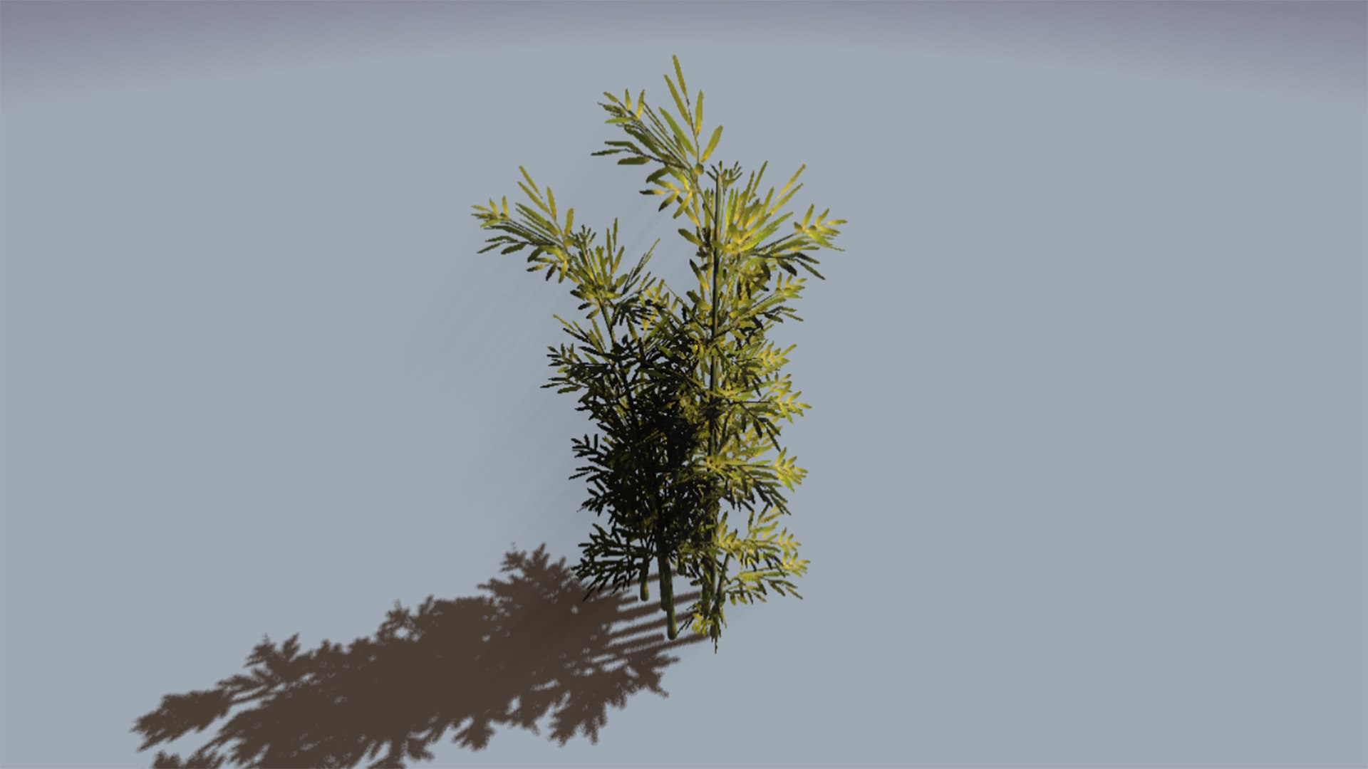 Free 3D Bamboo - TurboSquid 1857466