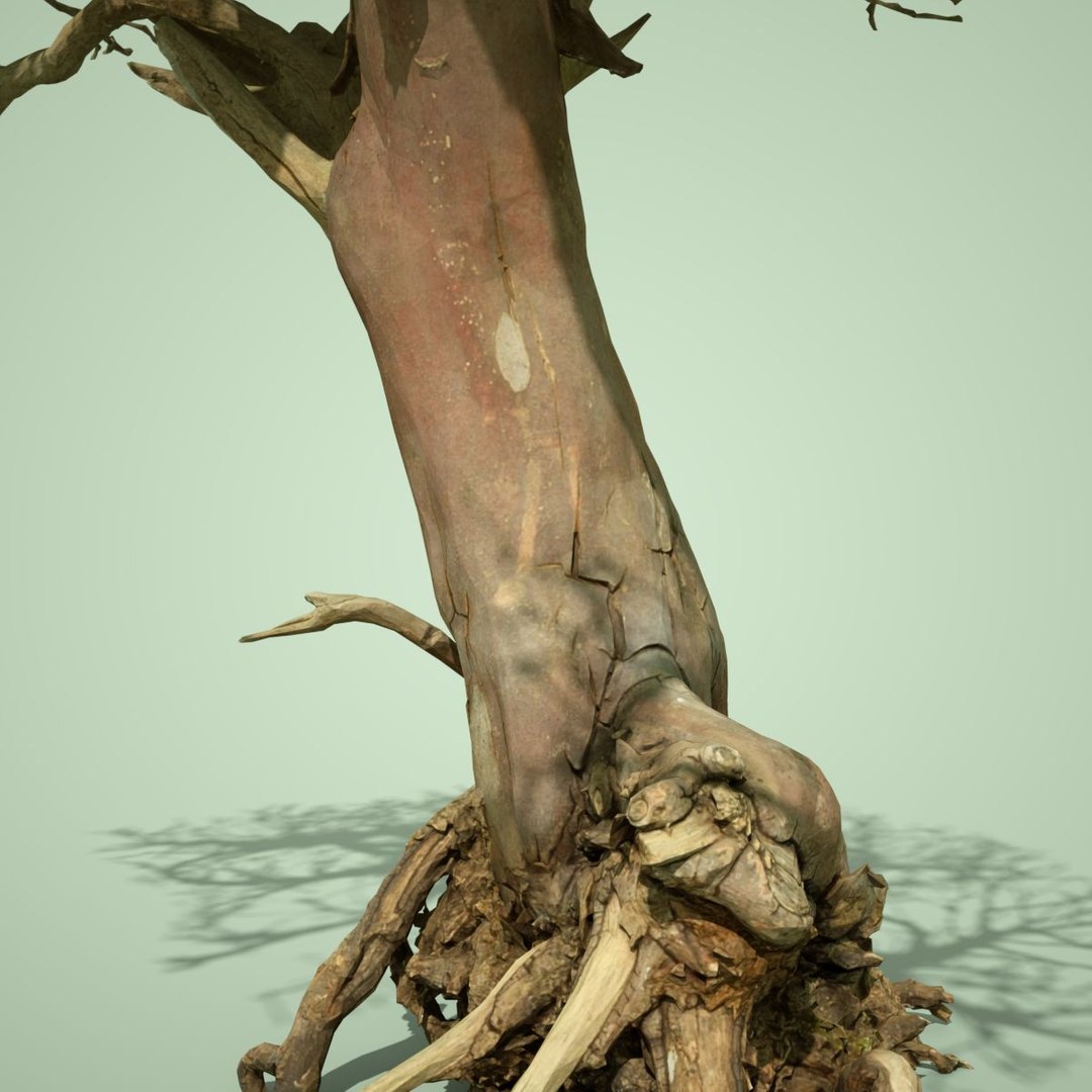3D Dead Forest Tree Stylised Model - TurboSquid 1162431