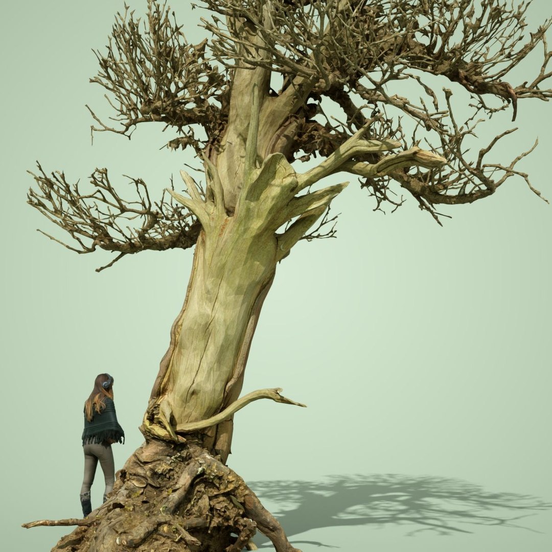 3D Dead Forest Tree Stylised Model - TurboSquid 1162431