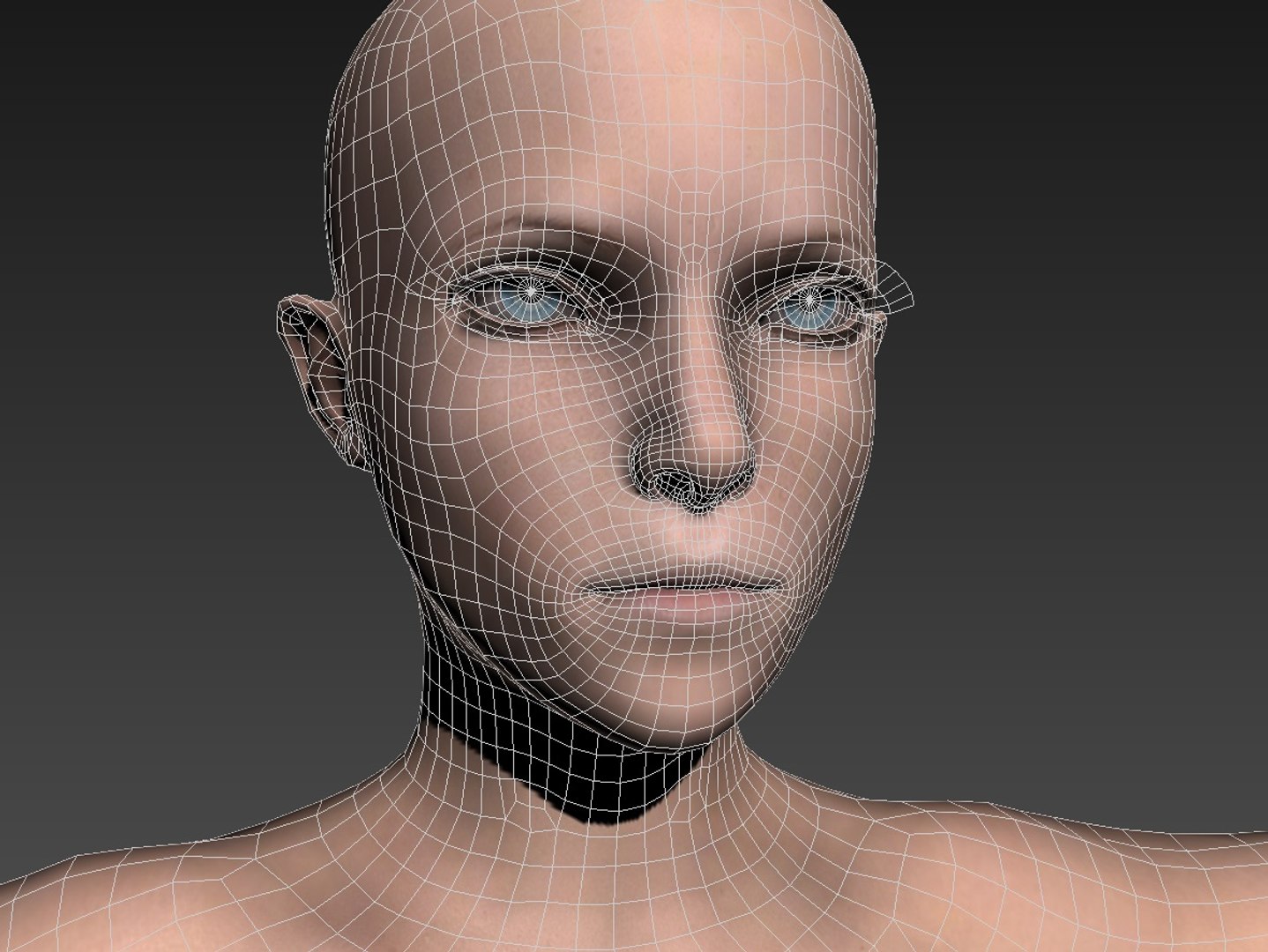 Female Human 3d Model