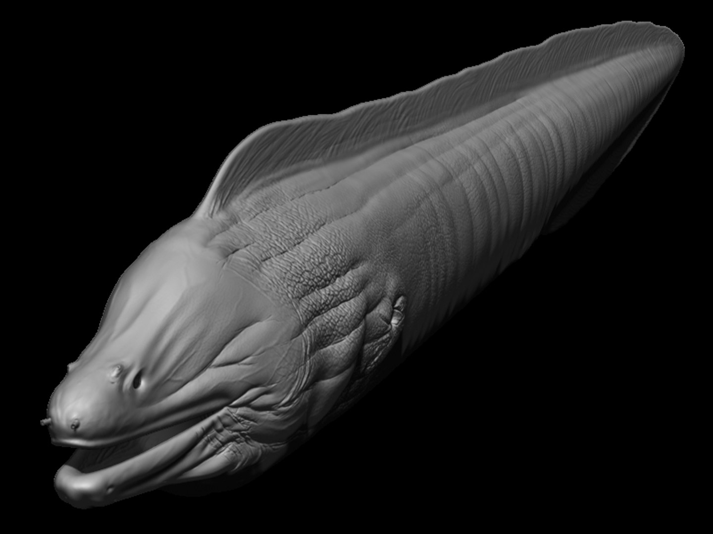 3d Moray Eel