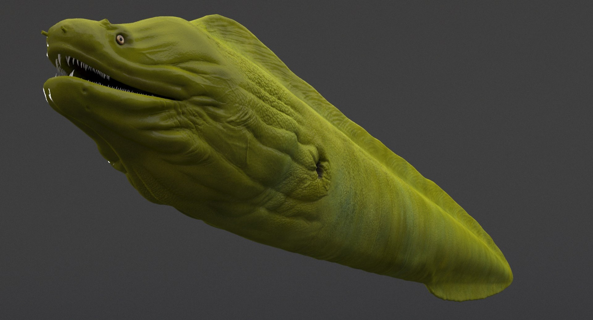 3d Moray Eel