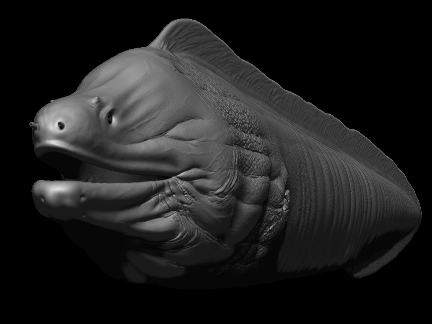 3d Moray Eel