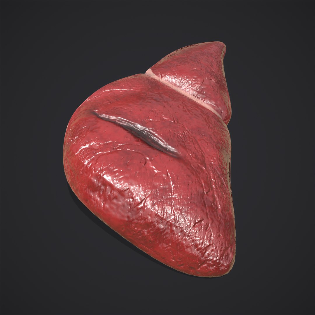 3D Human Liver Model - TurboSquid 1813706