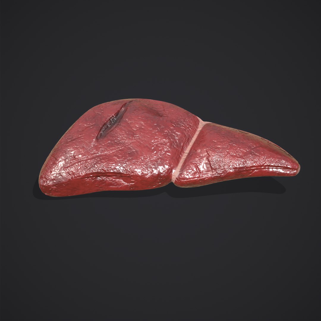 3D Human Liver Model - TurboSquid 1813706