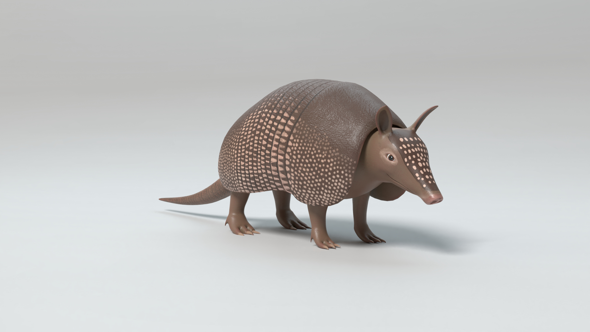 3D Model Armadillo Cartoon - TurboSquid 1508538