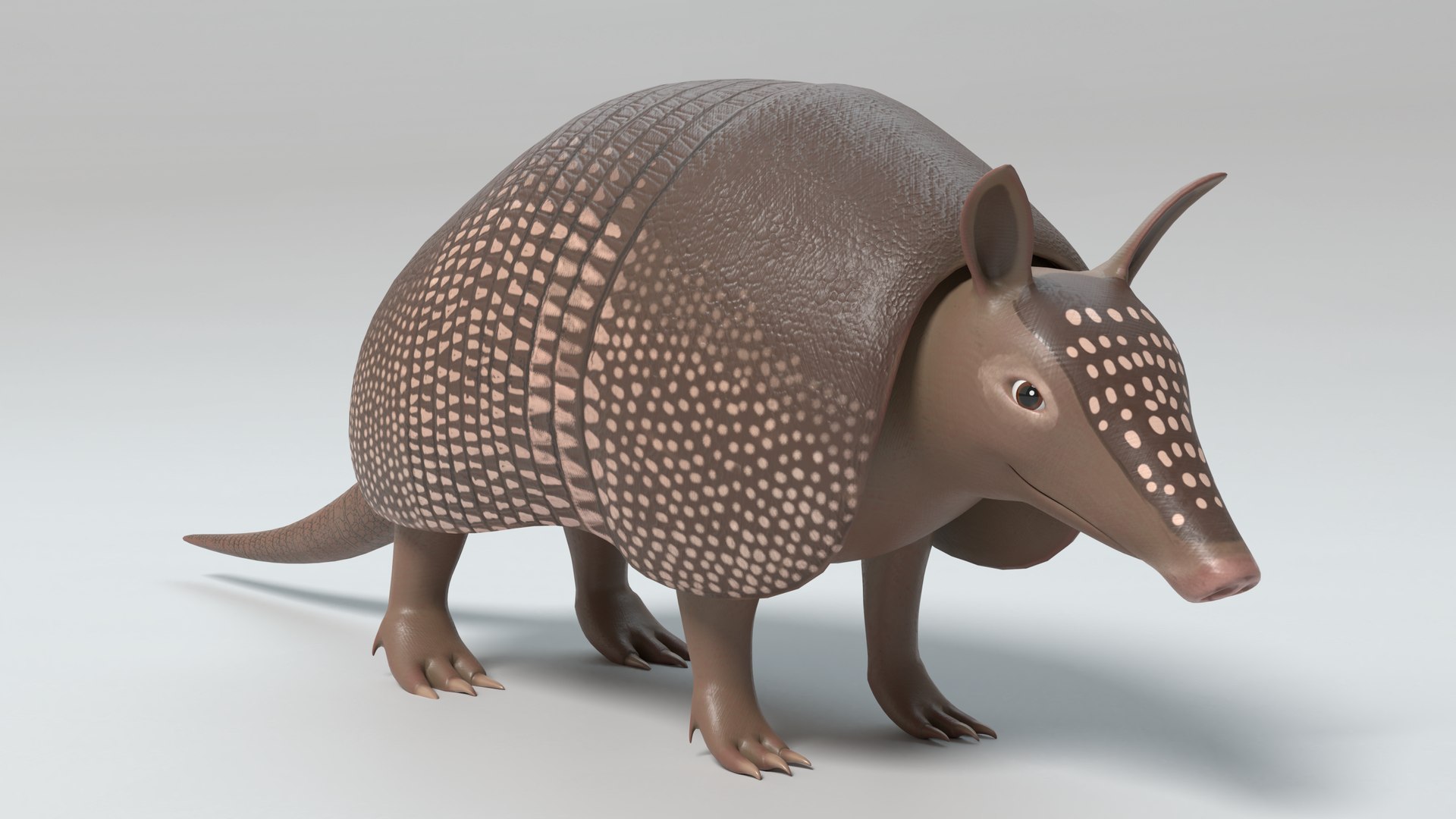 3D Model Armadillo Cartoon - TurboSquid 1508538