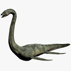 3D Loch Ness Monster Models - Browse & Download Formats - TurboSquid