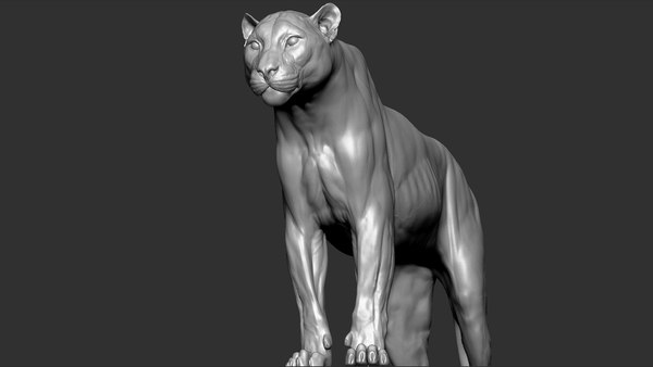 Leopard Panthera pardus Realistic Zbrush Sculpt Modelo 3D - TurboSquid ...