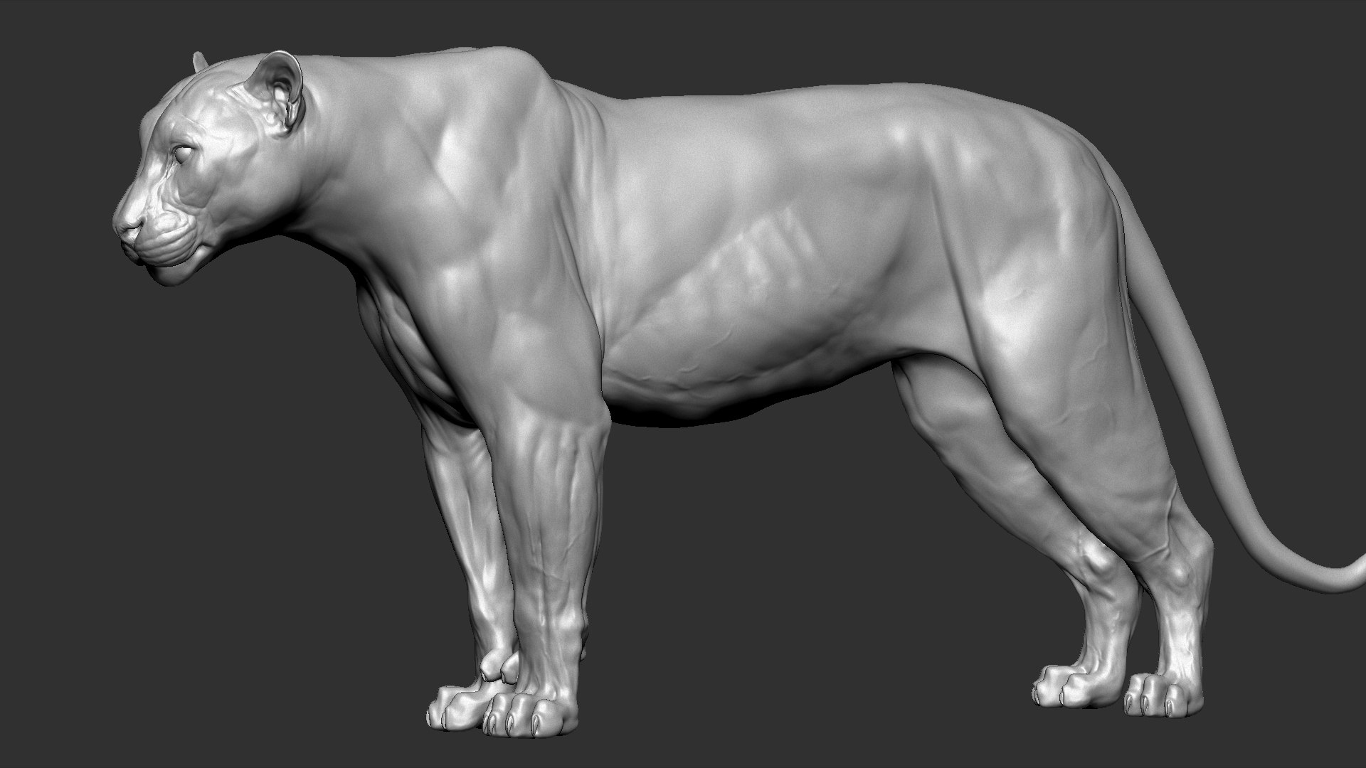 Leopard Panthera Pardus Realistic Model - TurboSquid 1539676