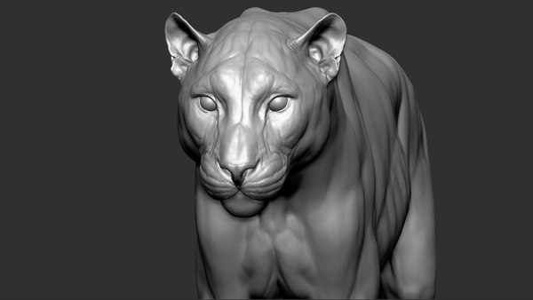 Leopard panthera pardus realistic model - TurboSquid 1539676