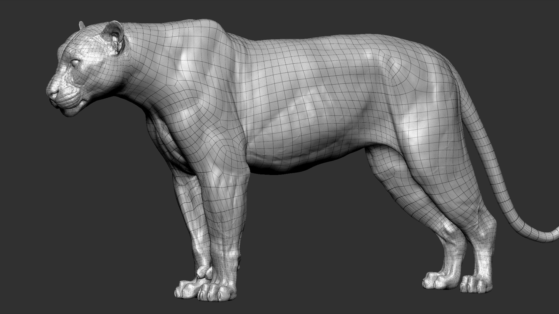 Leopard Panthera Pardus Realistic Model - TurboSquid 1539676