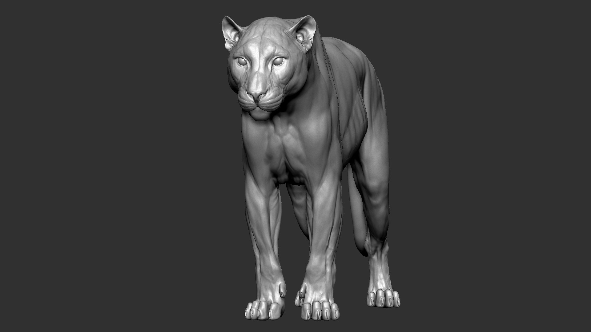 Leopard Panthera Pardus Realistic Model - TurboSquid 1539676