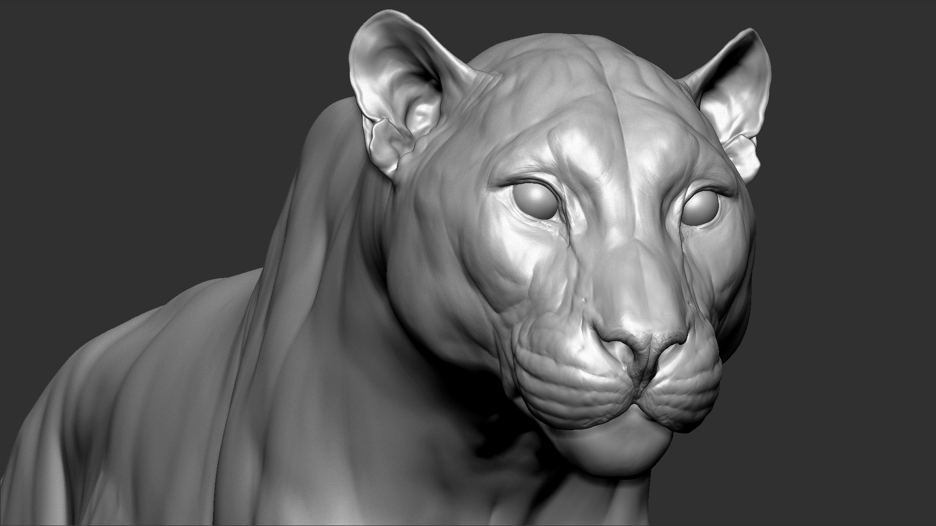 Leopard Panthera Pardus Realistic Model - TurboSquid 1539676