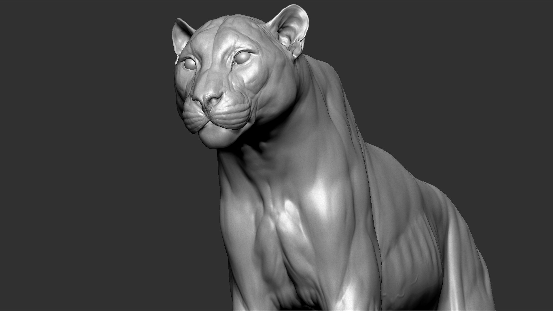 Leopard Panthera Pardus Realistic Model - TurboSquid 1539676
