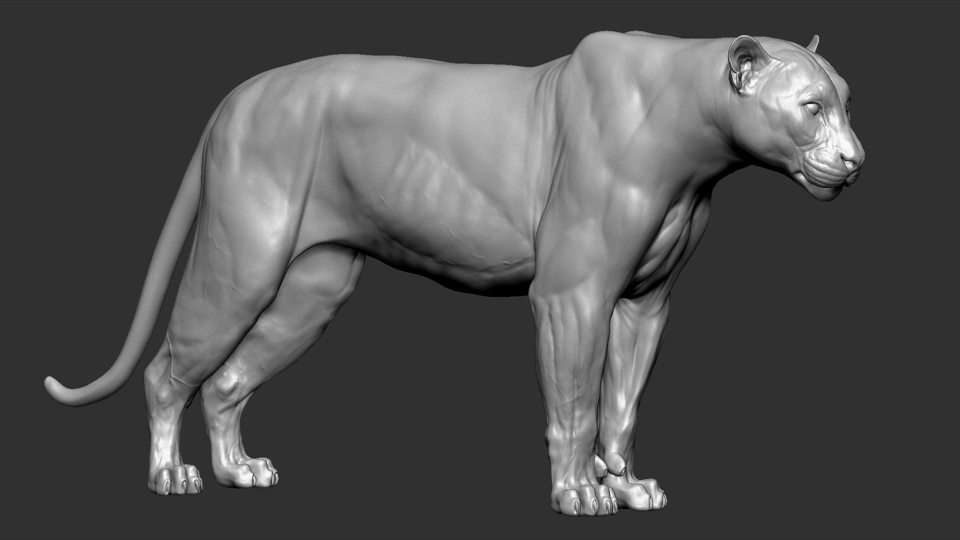 Leopard Panthera Pardus Realistic Model - TurboSquid 1539676