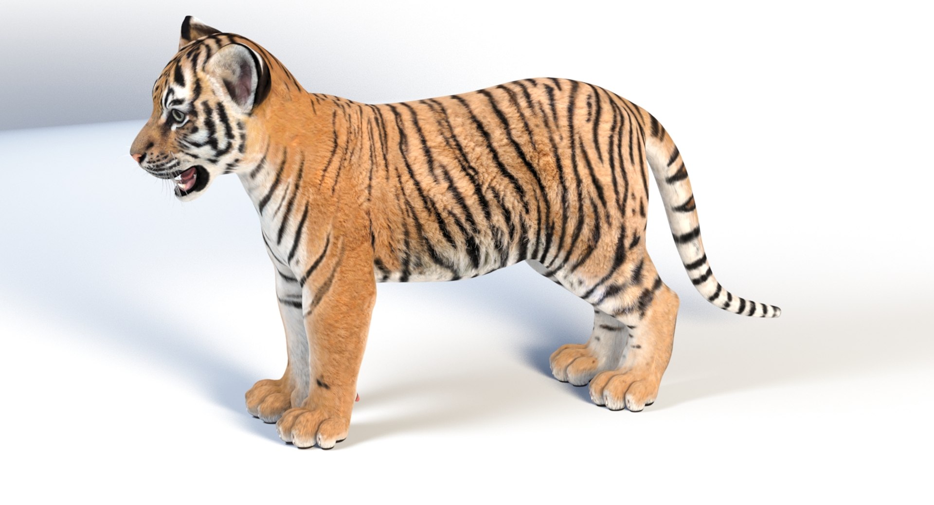 3D Tiger Animal Mammal - TurboSquid 1394984