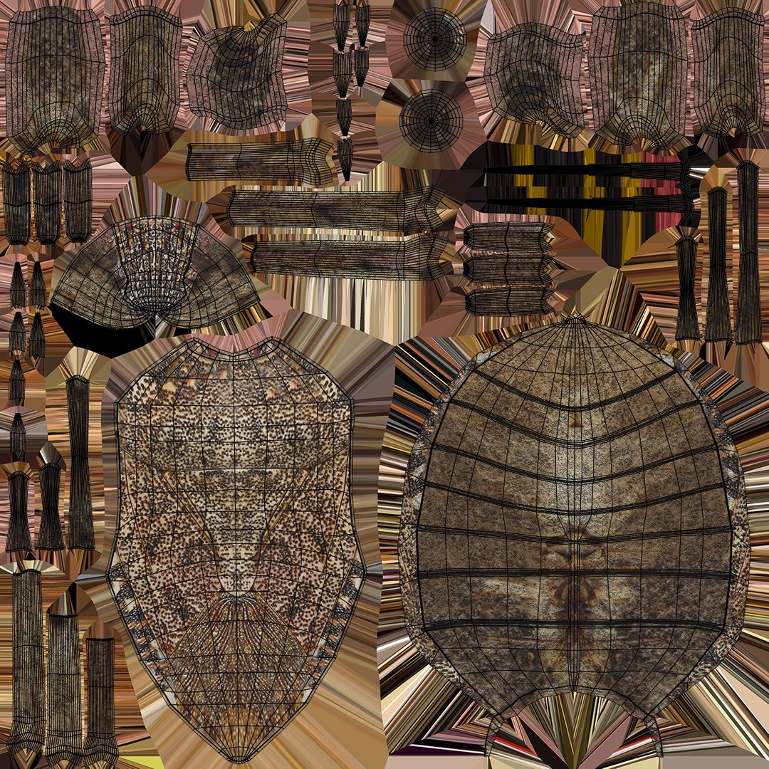 3D Stink Bug Model - TurboSquid 1667890