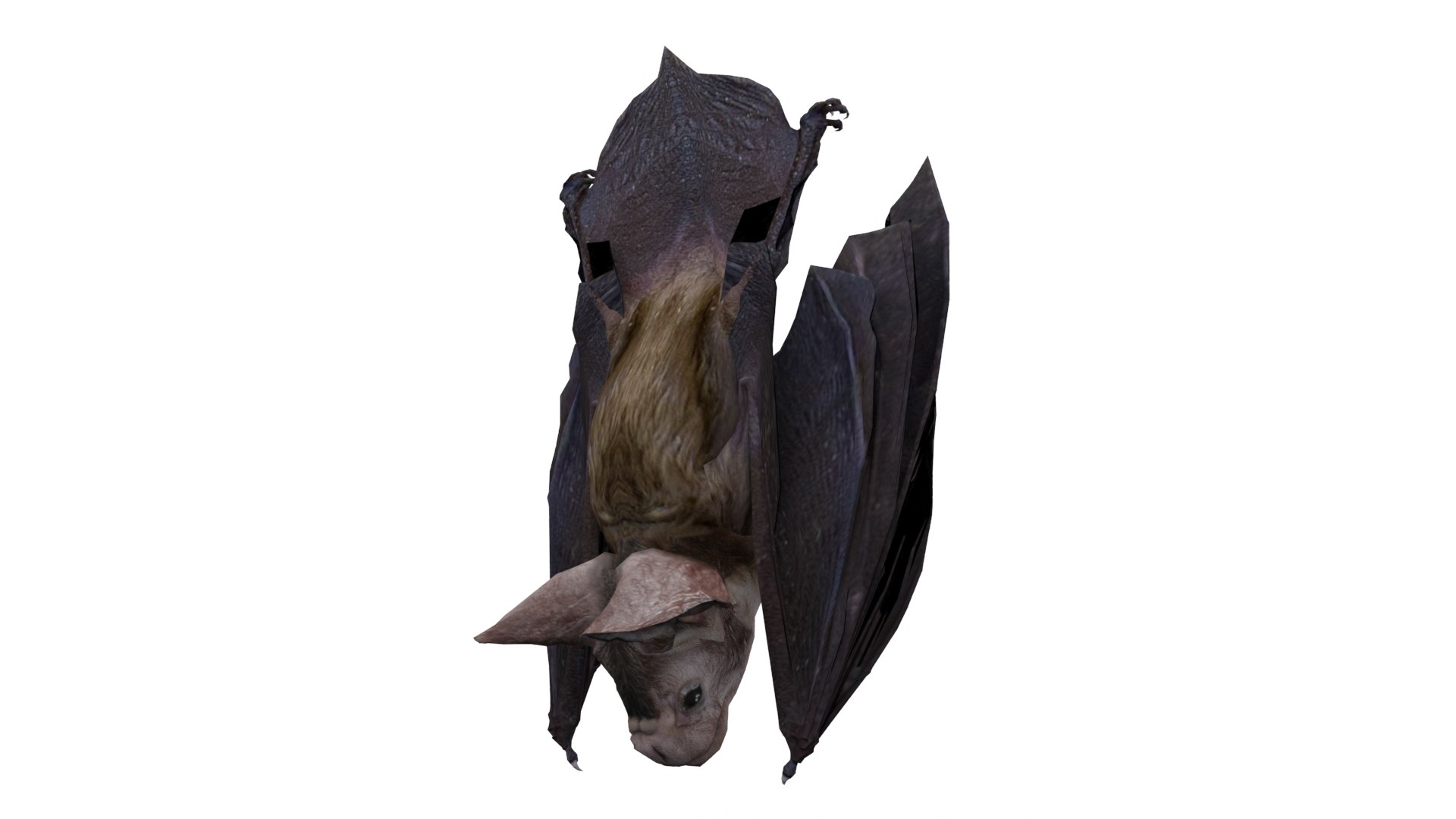 3d max vampire bat animations
