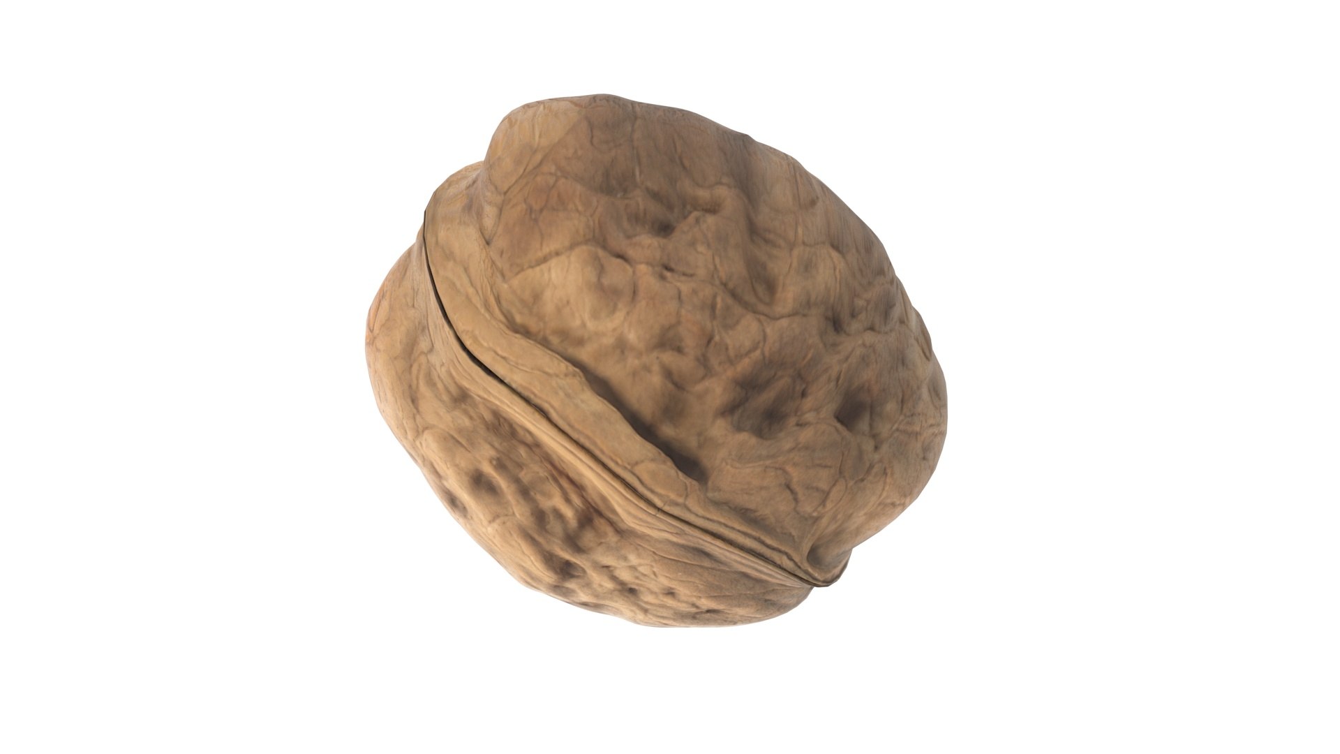 3D Model Walnut - TurboSquid 1853271