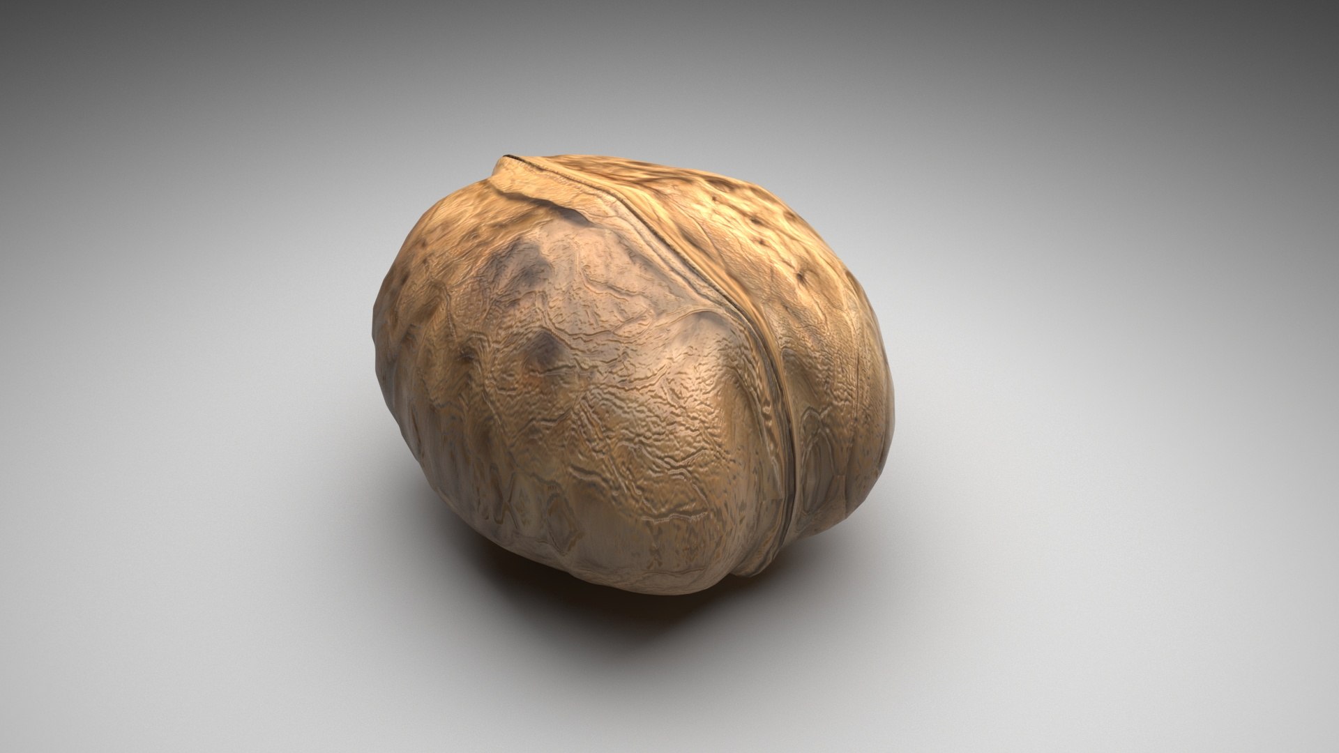 3D Model Walnut - TurboSquid 1853271