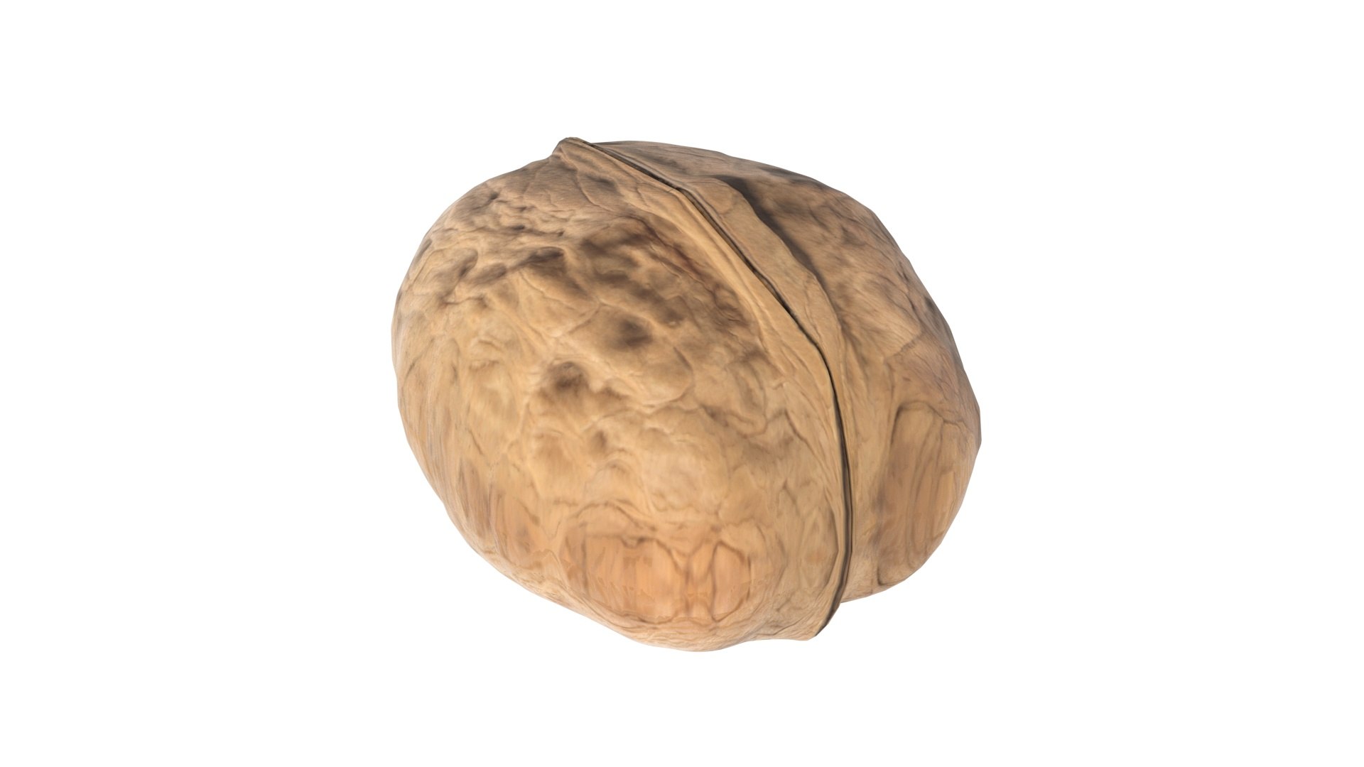 3D Model Walnut - TurboSquid 1853271