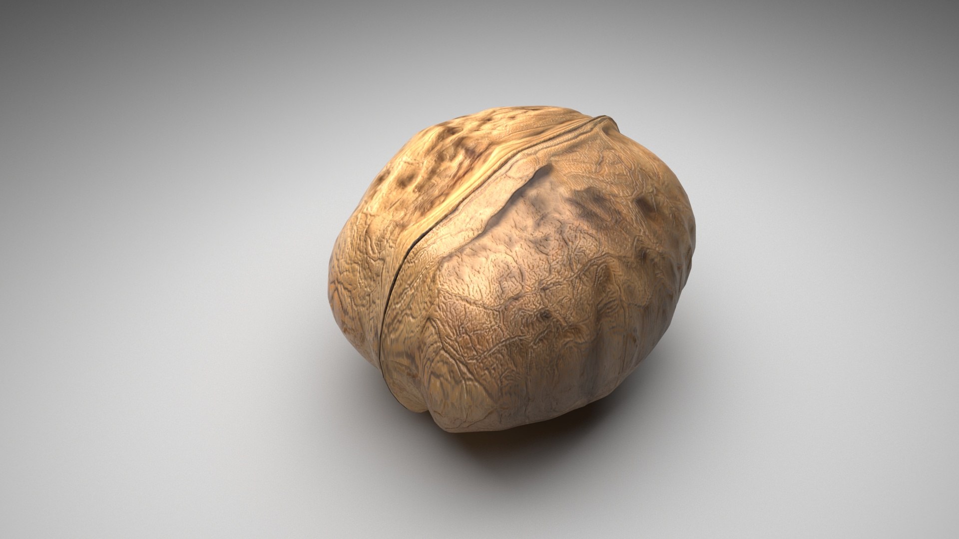 3D Model Walnut - TurboSquid 1853271