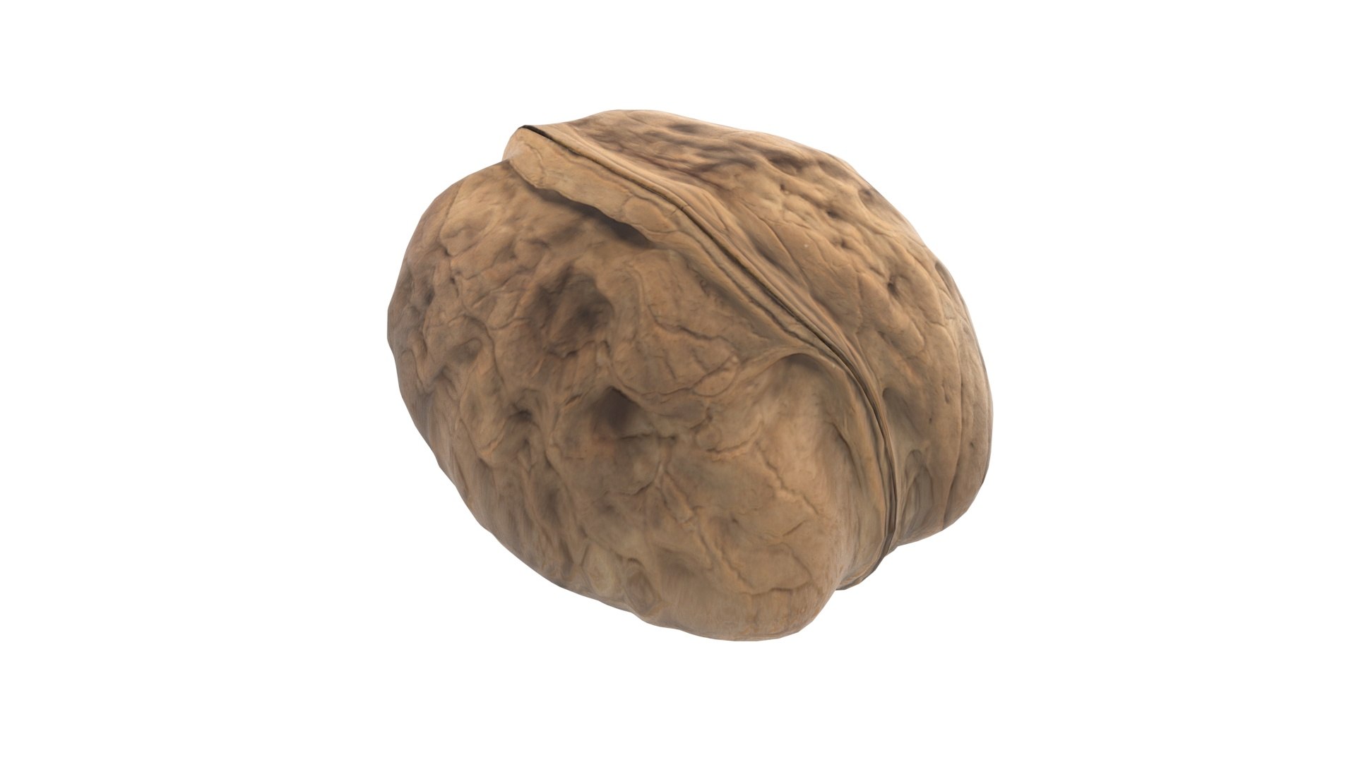 3D Model Walnut - TurboSquid 1853271