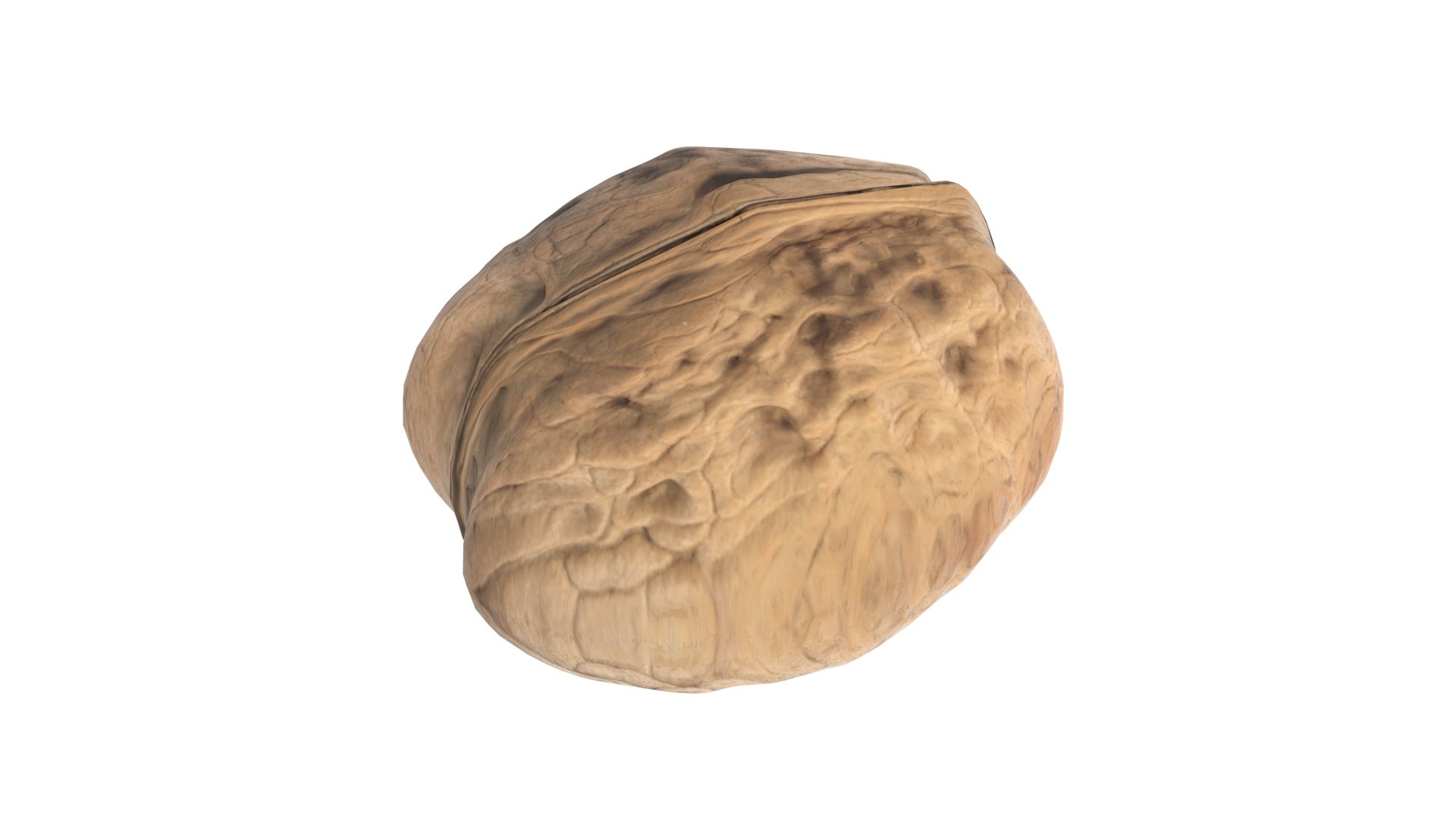 3D Model Walnut - TurboSquid 1853271