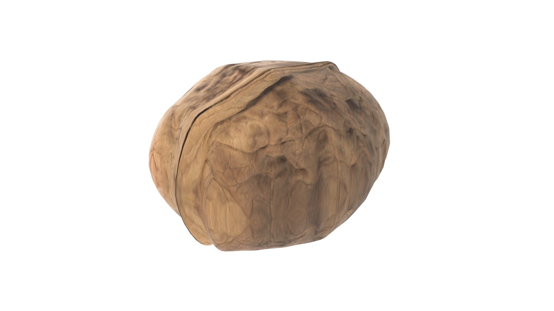 3D Model Walnut - TurboSquid 1853271