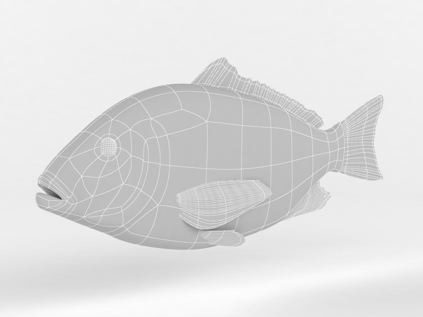 Red Snapper Fish 3D - TurboSquid 1434581