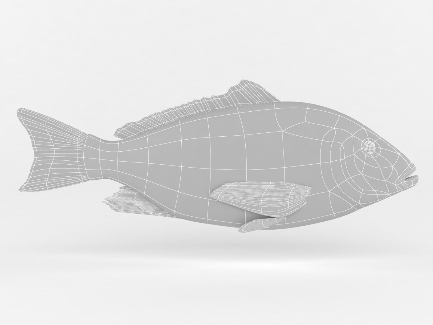 Red Snapper Fish 3D - TurboSquid 1434581