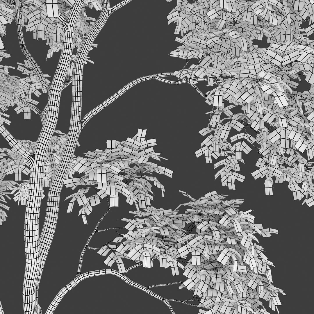 Green Ash 03 Model - TurboSquid 1946327