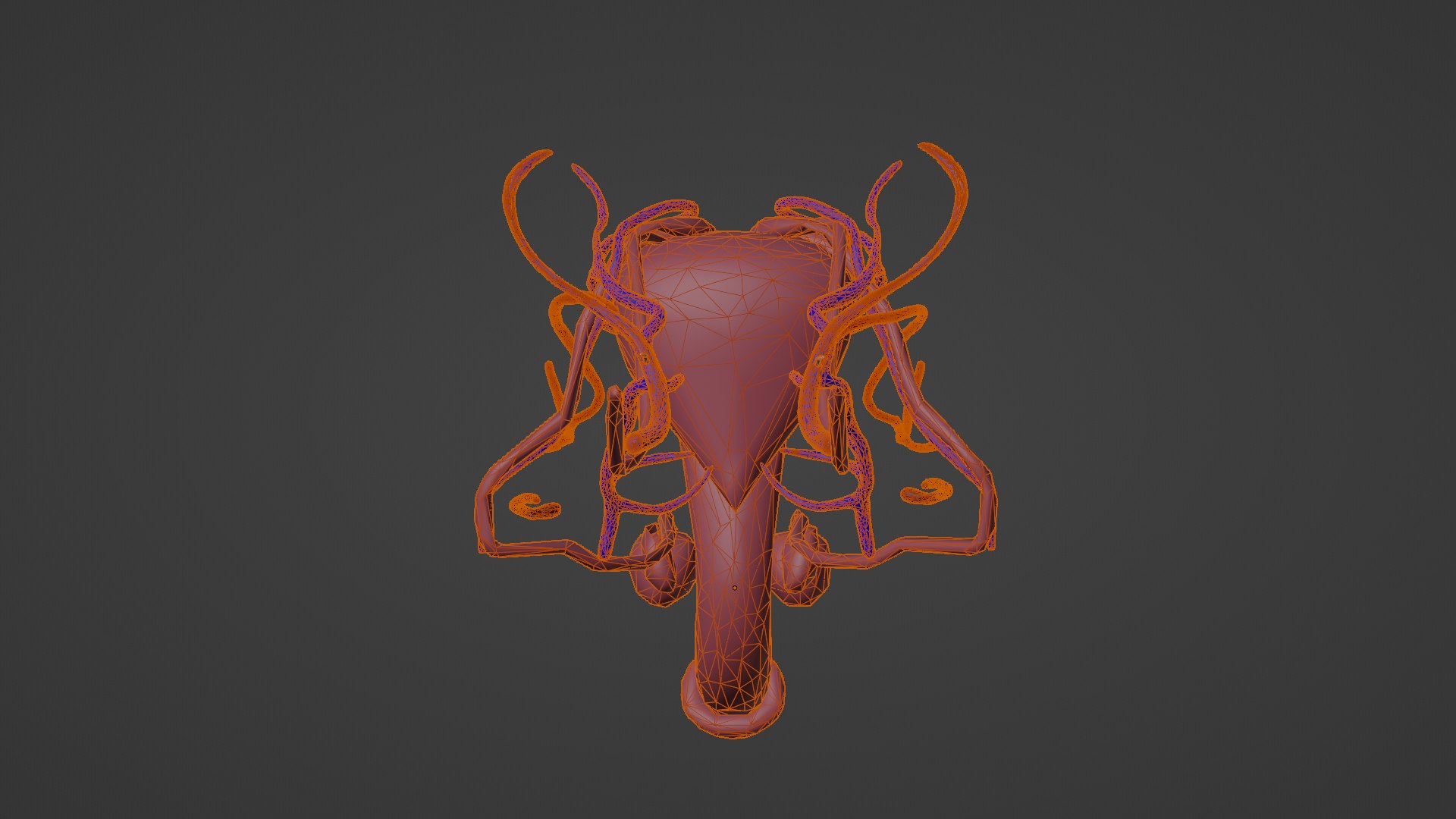 3D Model Of Male Reproductive System And Veins Model - TurboSquid 2082187
