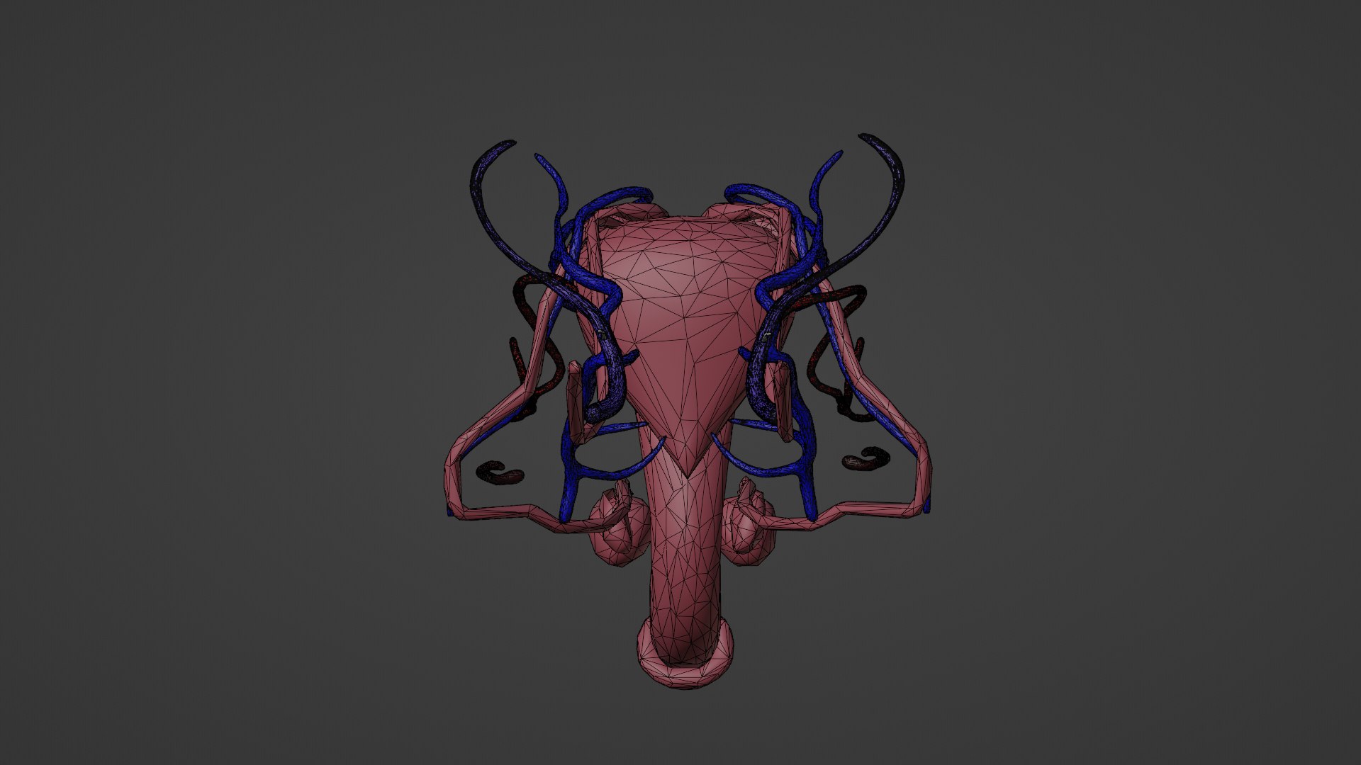 3D Model Of Male Reproductive System And Veins Model - TurboSquid 2082187