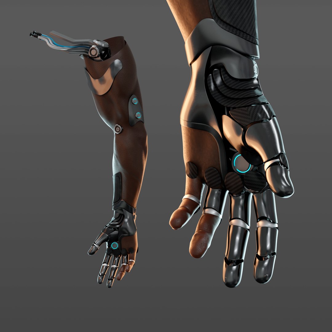 Hand Anatomy Mechanical Model Turbosquid 1619412