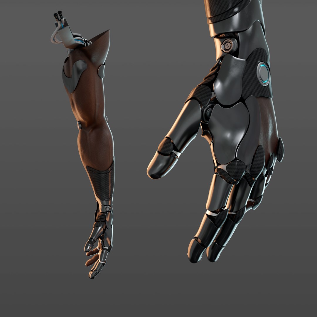 Hand Anatomy Mechanical Model - TurboSquid 1619412