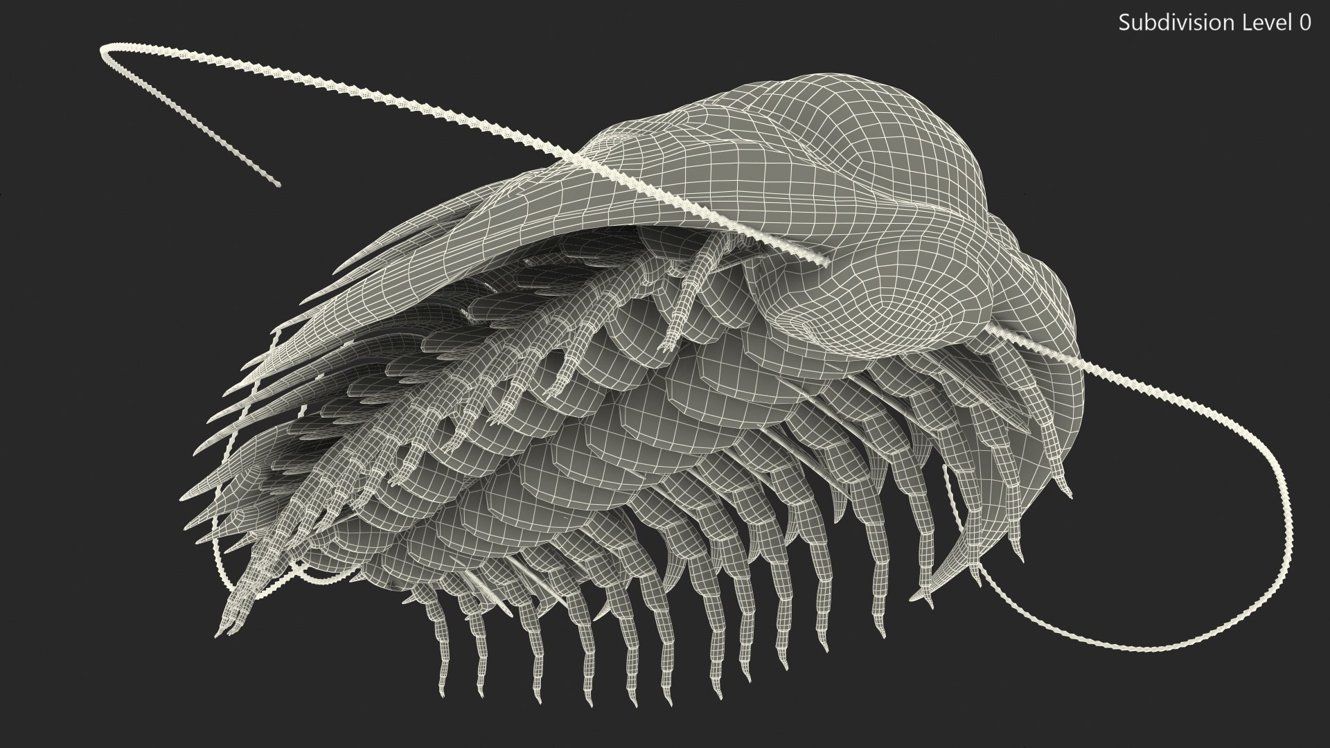 3D trilobite extinct marine arachnomorph - TurboSquid 1472734