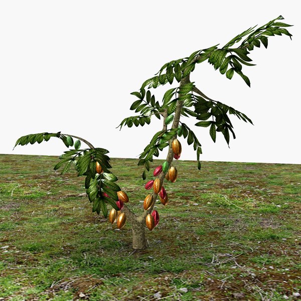 3D model cartoon plants | 1144104 | TurboSquid