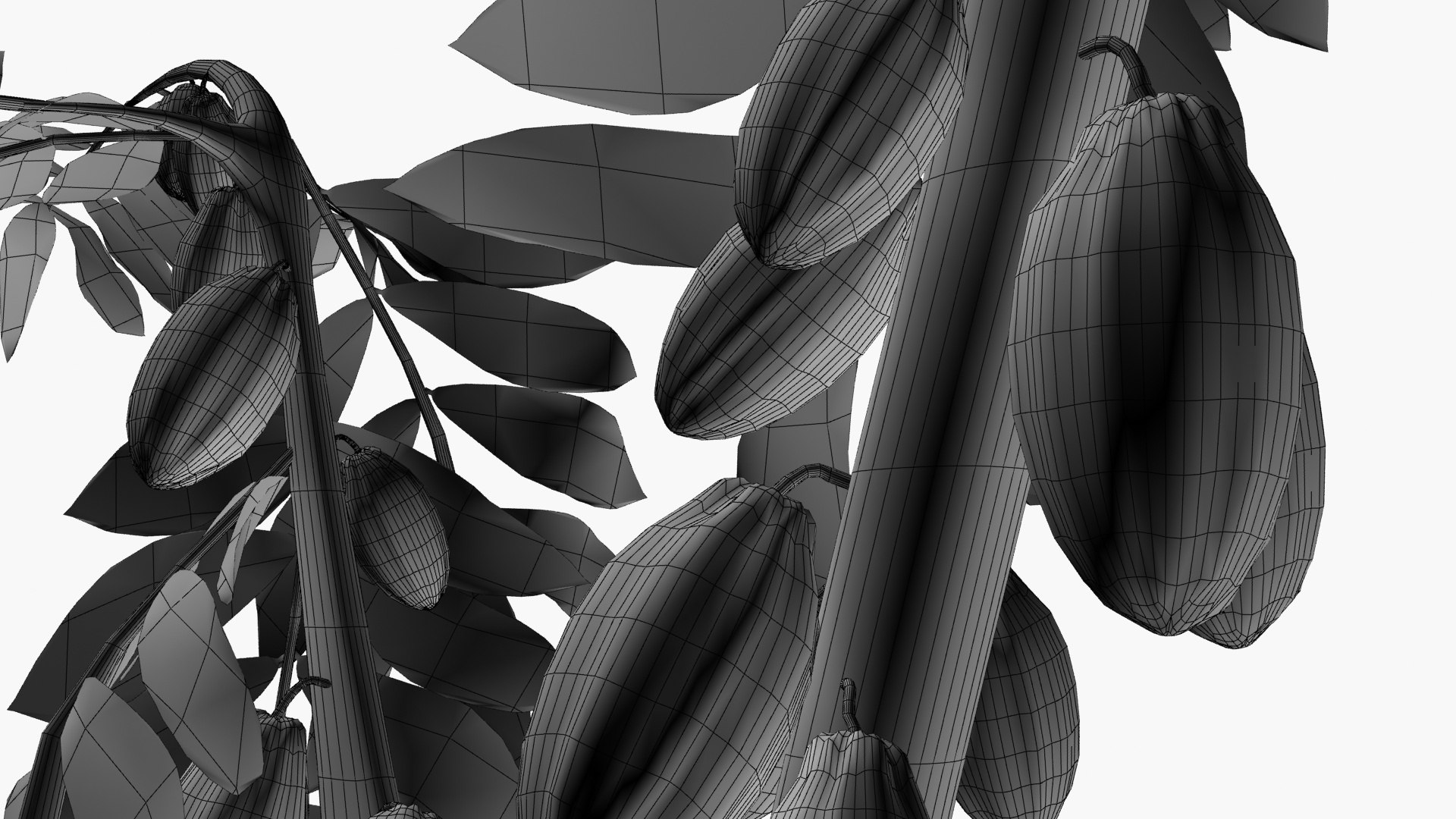 3D Cacao Tree - TurboSquid 1758266