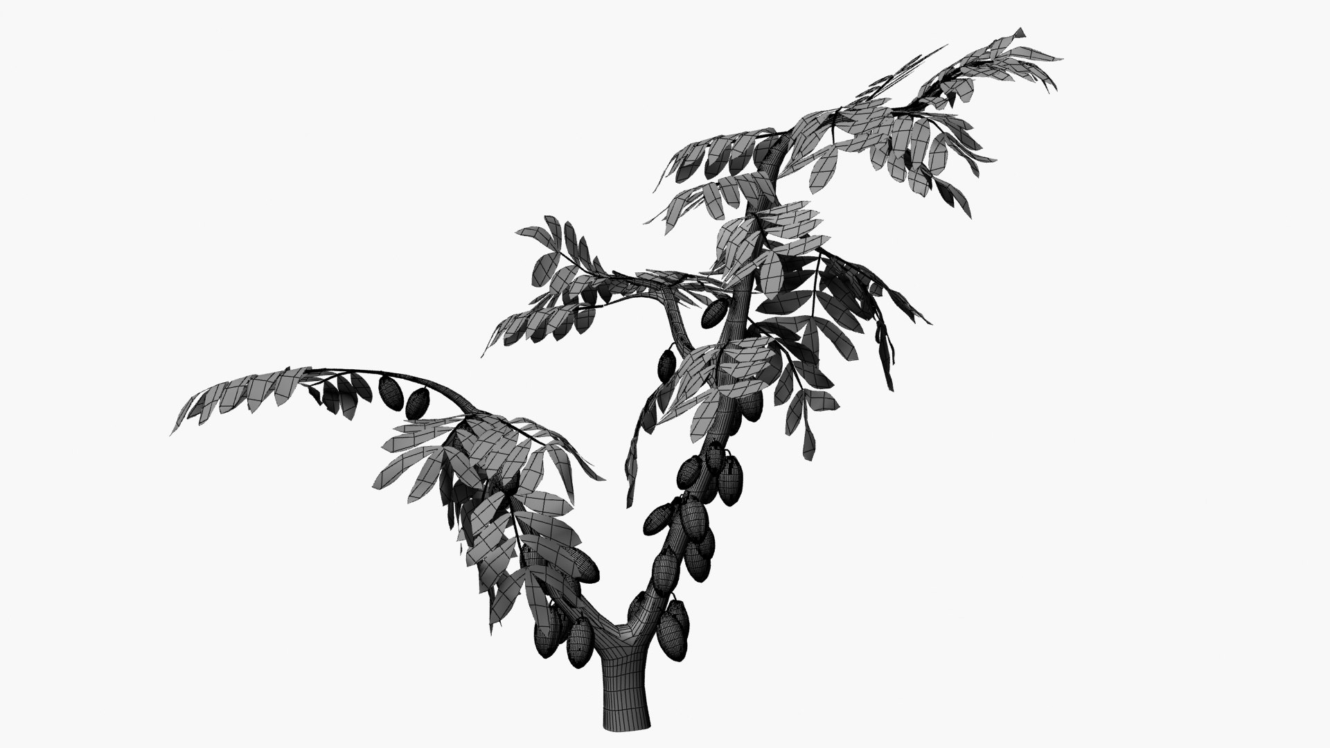 3D Cacao Tree - TurboSquid 1758266