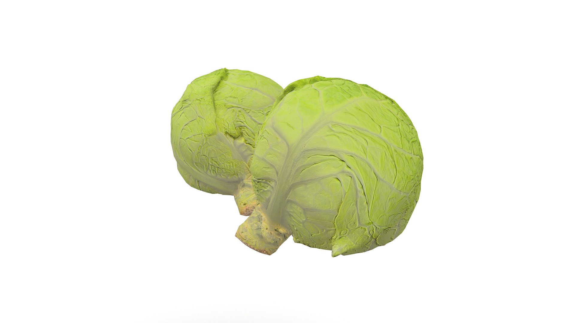 3D Cabbage Vegetable AR VR PBR - TurboSquid 2000856