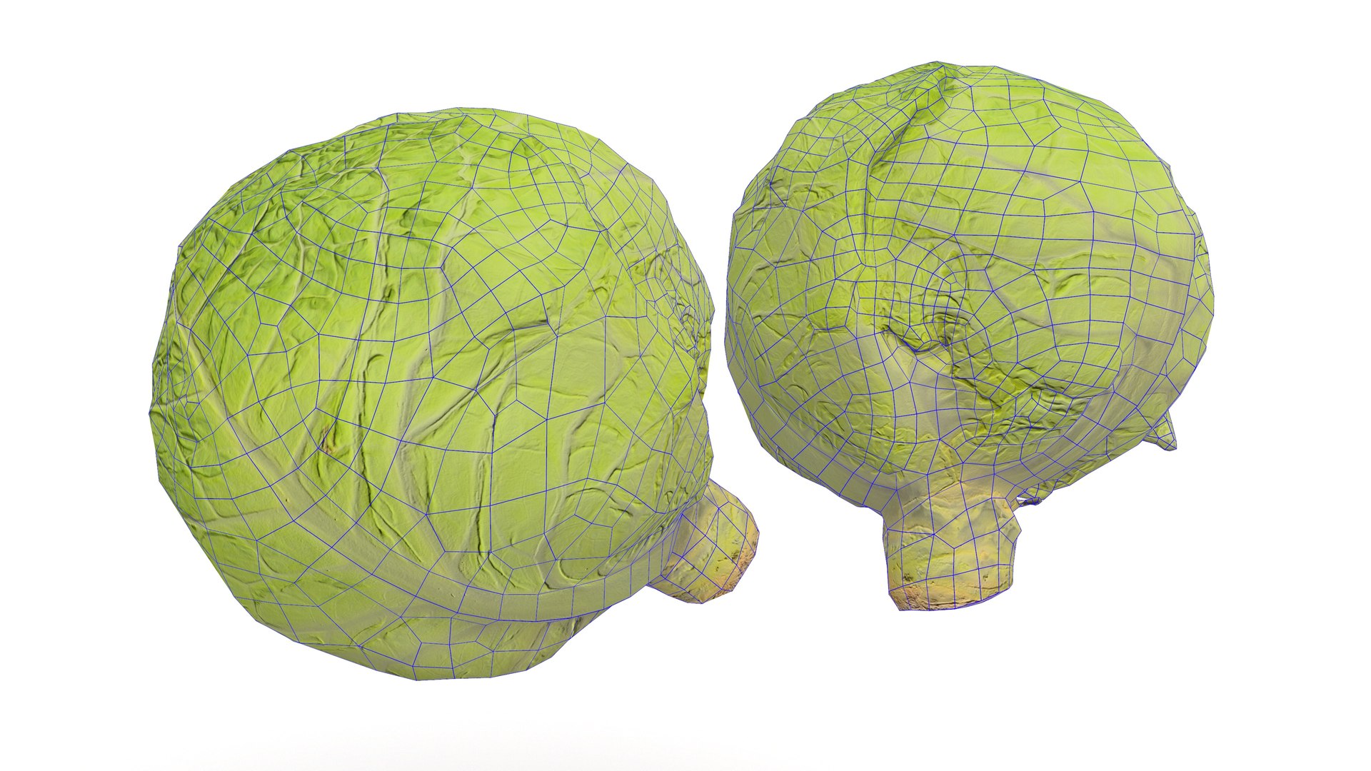 3D Cabbage Vegetable AR VR PBR - TurboSquid 2000856